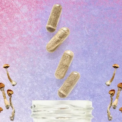 Shrooms - Harvest Co.